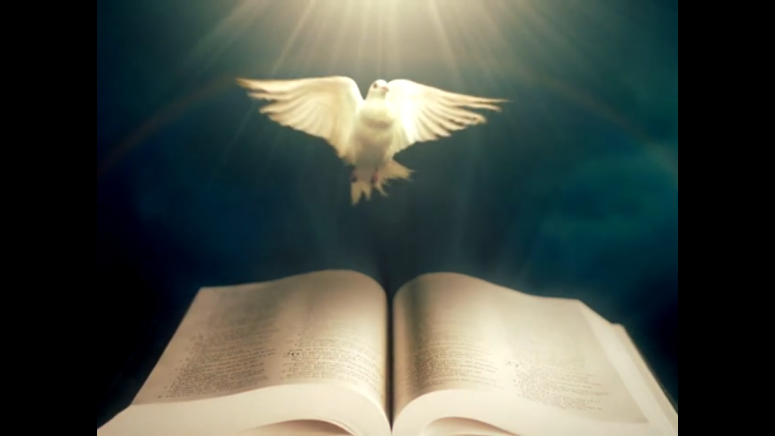 NU De Zwarte Doos Van Het Beroemde Calvinisme! - kerkinhuis.org